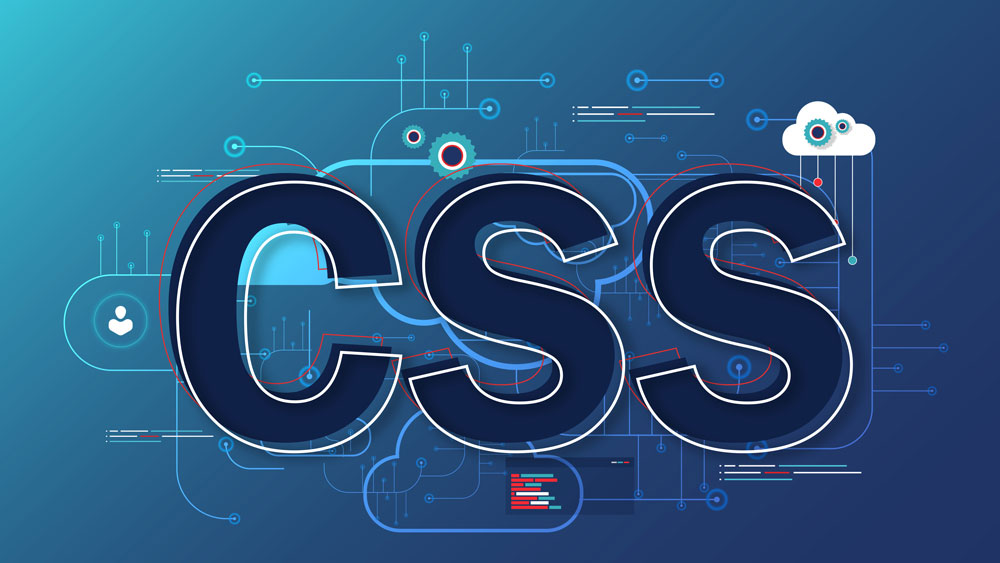  Css 
